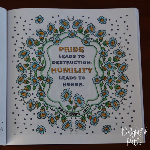 Delightful Paths Adult Bible Coloring Book - Proverbs - Delightful Paths