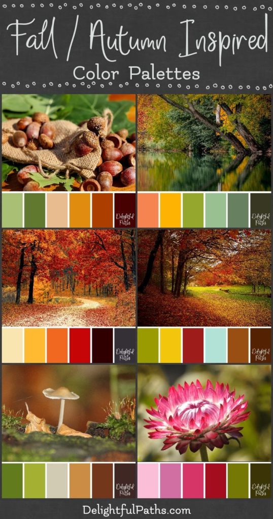 Fall / Autumn Inspired Color Palettes - Delightful Paths