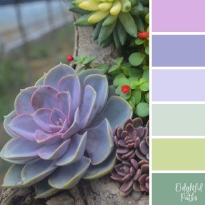 Succulent Inspired Color Palettes - Delightful Paths