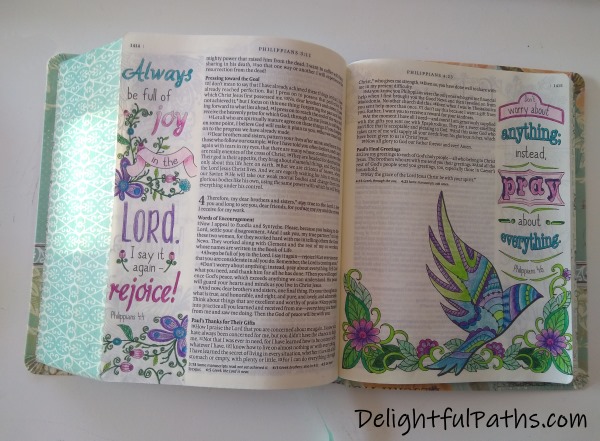 NLT Inspire Journaling Bible Review - Delightful Paths