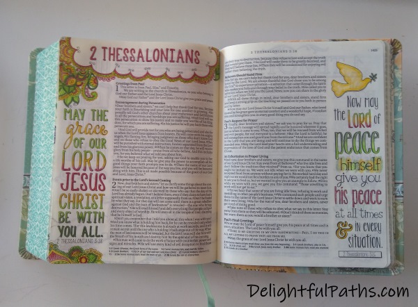 NLT Inspire Journaling Bible Review - Delightful Paths
