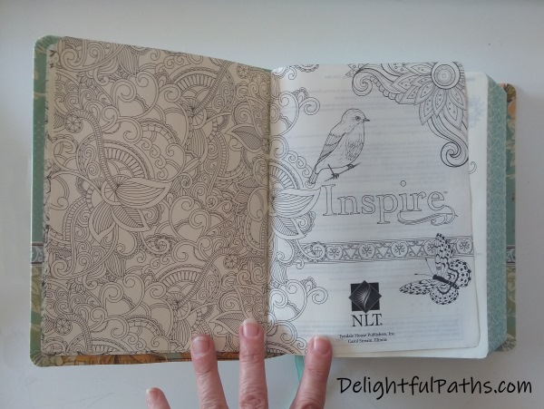 NLT Inspire Journaling Bible Review - Delightful Paths